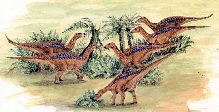 Dinosaurs & Geology - Bexhill Museum