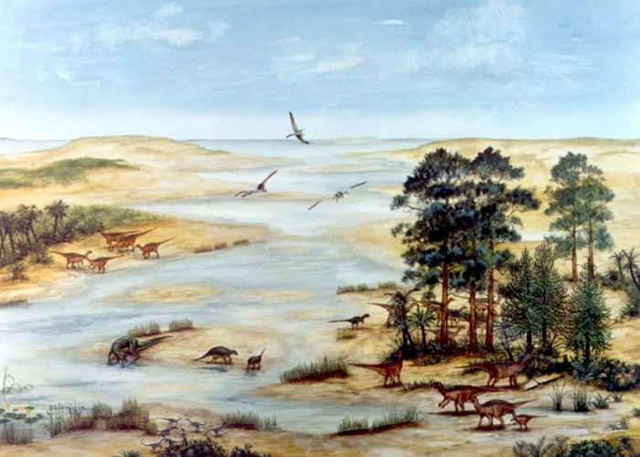 Dinosaurs & Geology - Bexhill Museum
