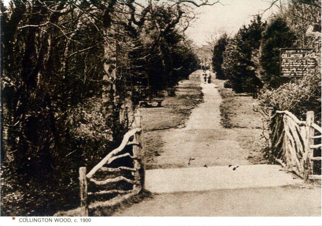 Collington - Bexhill Museum