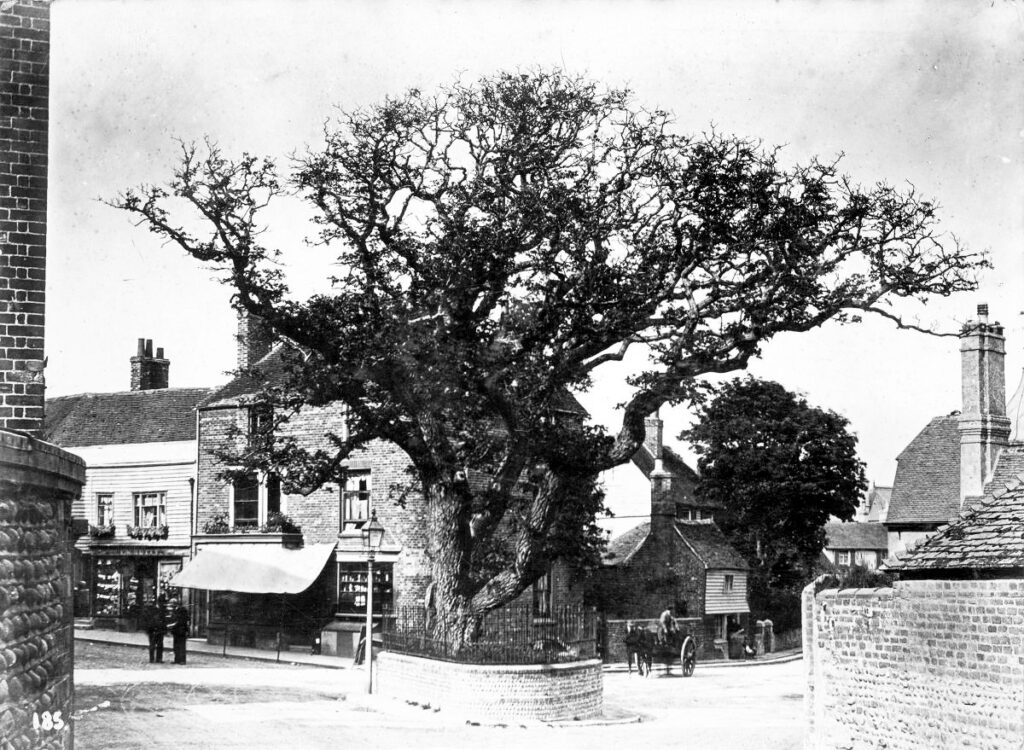 Old Town - Bexhill Museum