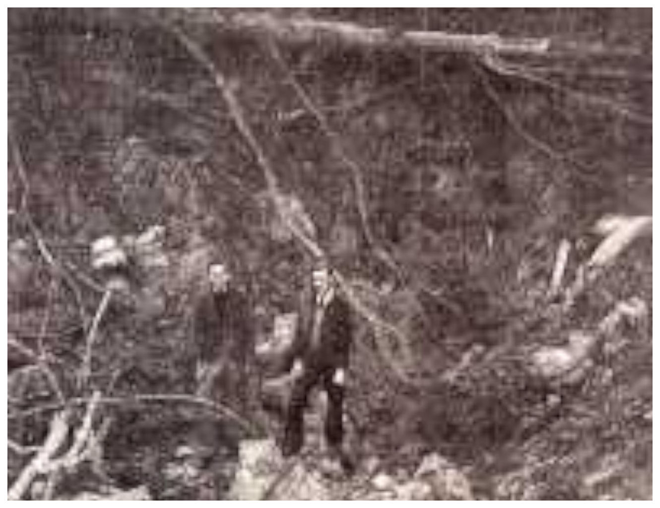 Old Cemetery (Barrack Road Graveyard) - Bexhill Museum