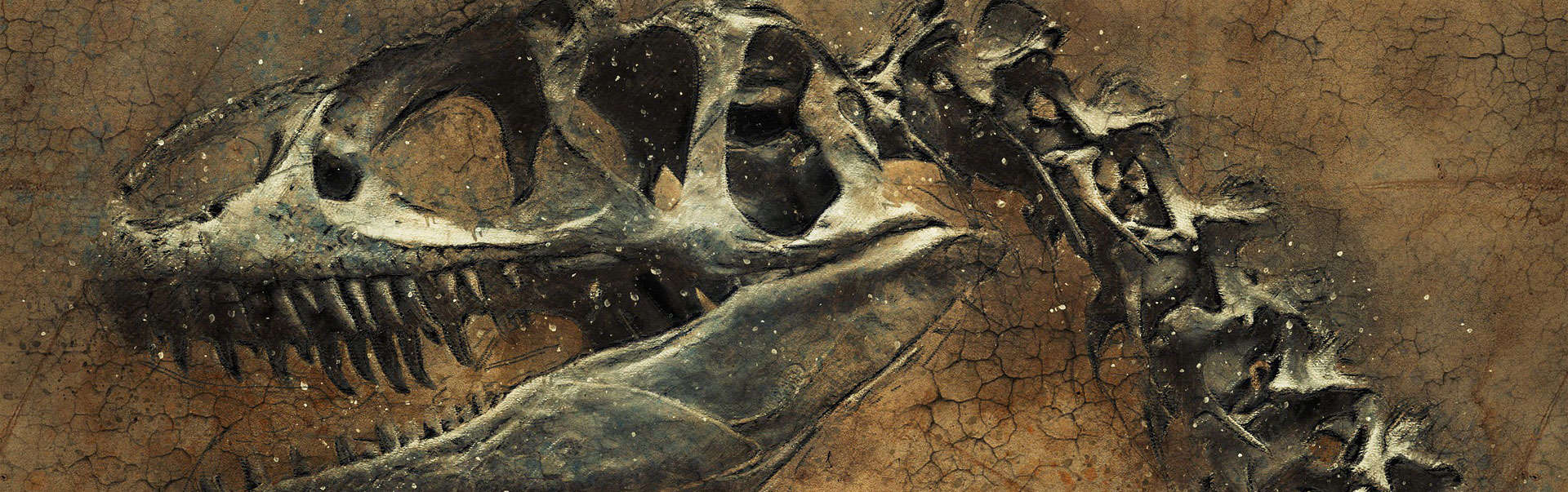 Fossils (Palaeontology) - Bexhill Museum